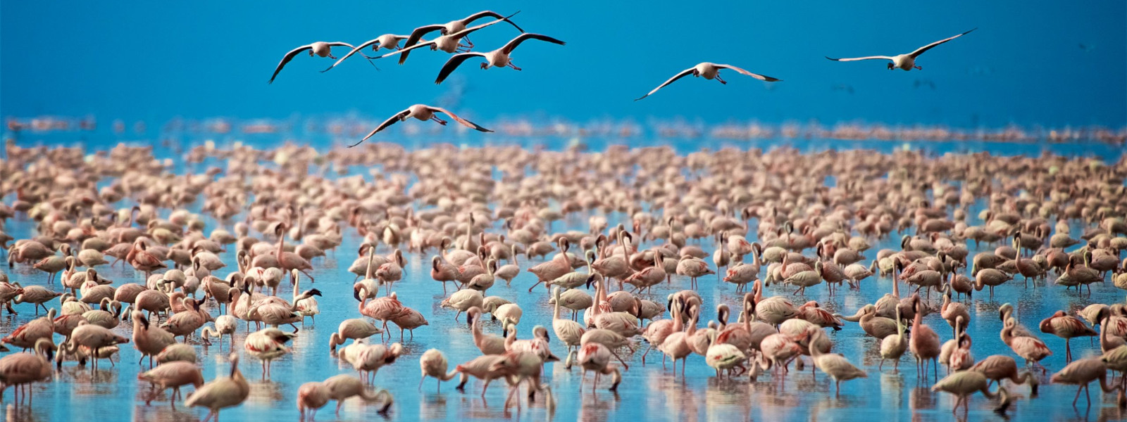 Lake Eyasi | Tanzania Safaris Tours | Tanzania Tours | Tanzania Tours