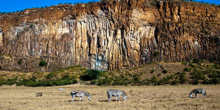 Top 20 Facts About the Big Five | Big 5 Animals | Big5 Safaris Tours