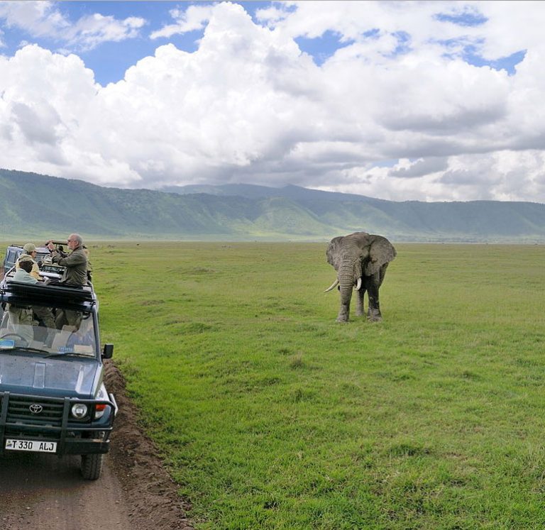 Guide to a Tanzania Safari in Ibanda-Kyerwa National Park | Tanzania