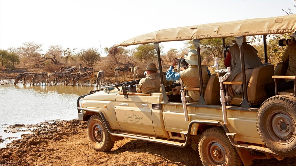 Top 20 Facts About the Big Five | Big 5 Animals | Big5 Safaris Tours