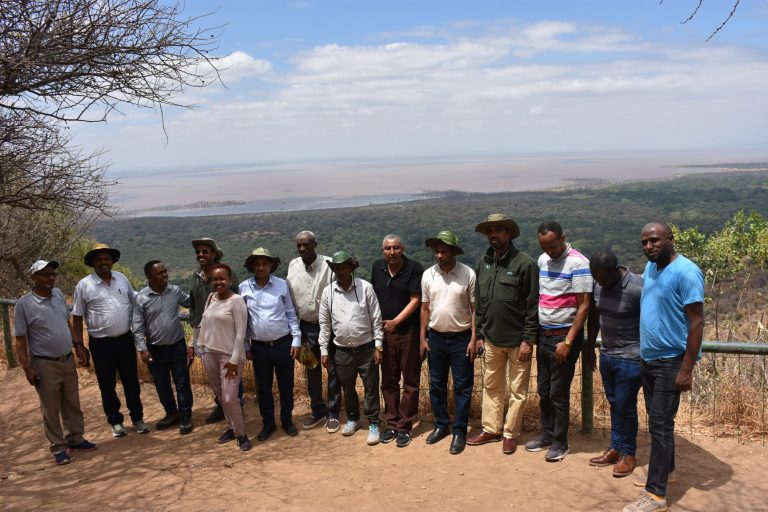 Conservation Efforts Employed In Conserving National Parks | Tanzania