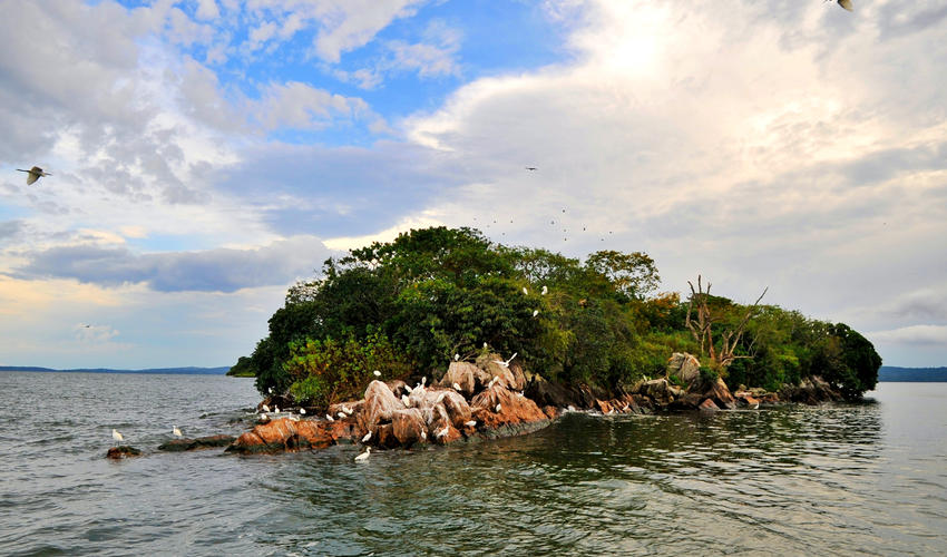 Rubondo Island National Park