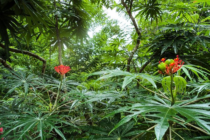 10 things to know about Zanzibar | Zanzibar Safaris | Tanzania Safari Tour