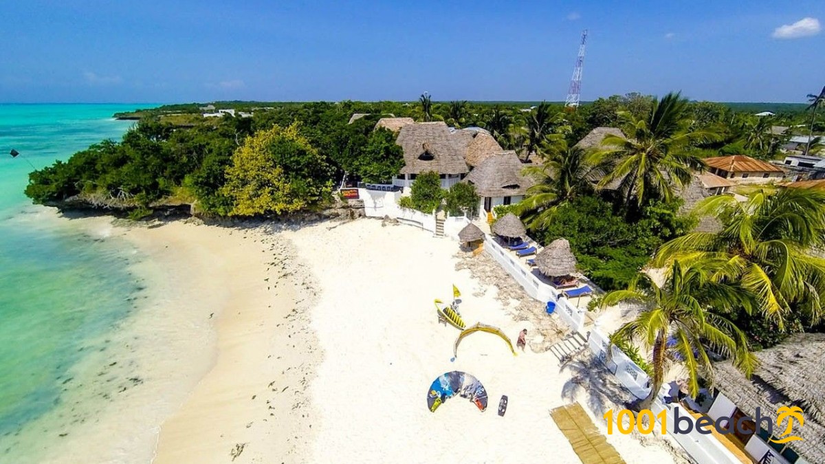 Why is Jambiani the place to be in Zanzibar? | Jambiani Beach | Zanzibar